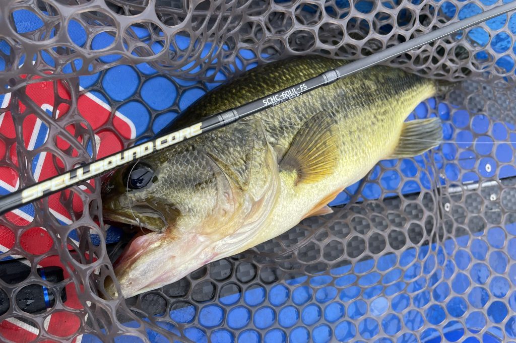 スペルバウンドコア ハイクラス | ENGINE